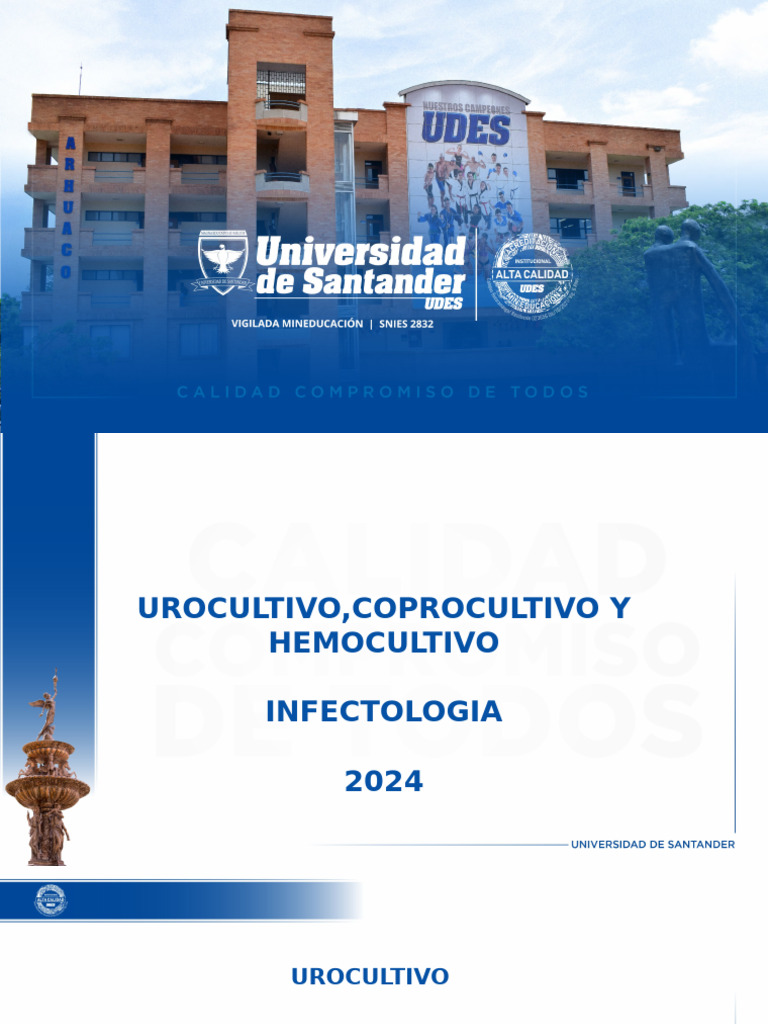 Uro Copro Hemo 2024 B | PDF | Infección del tracto urinario | Diarrea