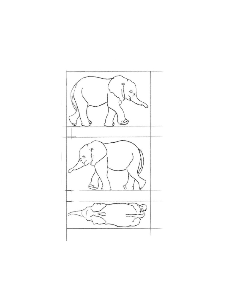 Elephant | PDF