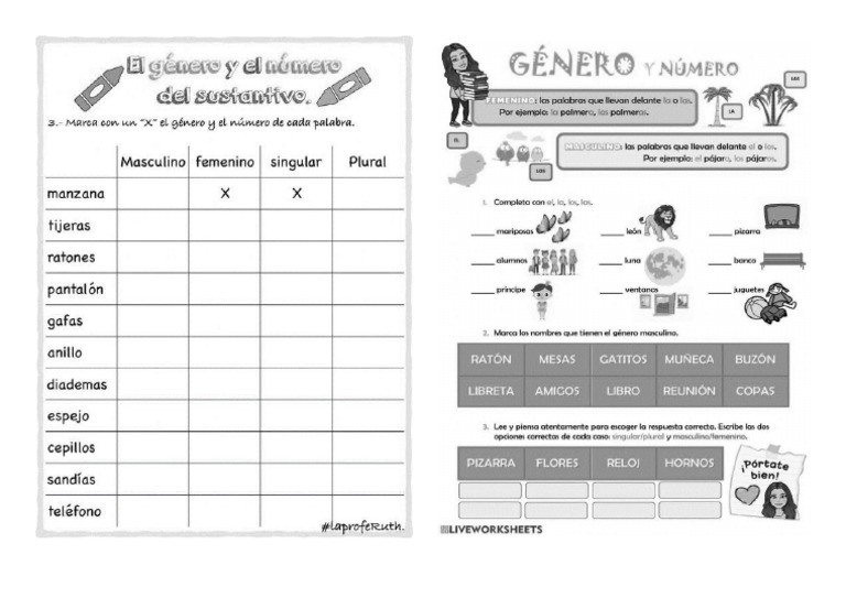 Genero y Número Del Sustantivo | PDF