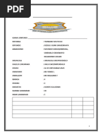 Term Dividers | PDF