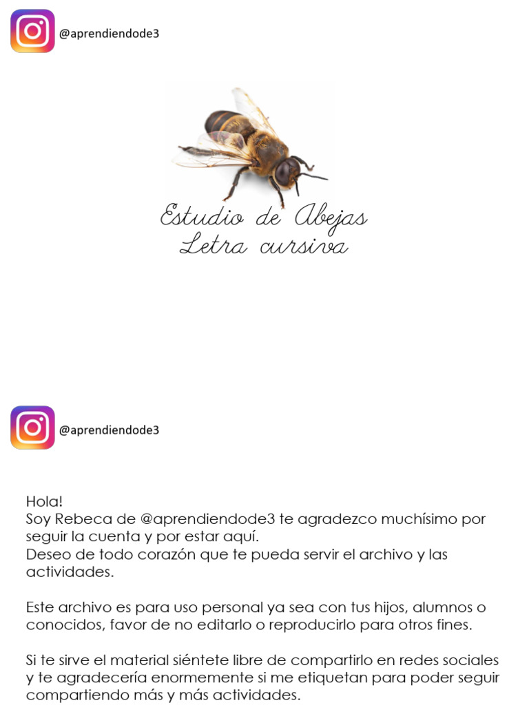 Estudio de Abejas - Aprendiendode3 | PDF | Western Honey Bee | Abejas