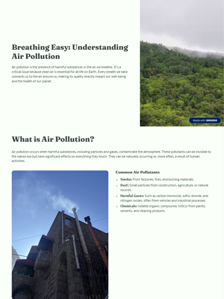 Breathing Easy Understanding Air Pollution | PDF | Air Pollution ...