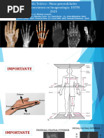 Anatomía de las Falanges de la Mano | PDF | Mano | Articulación
