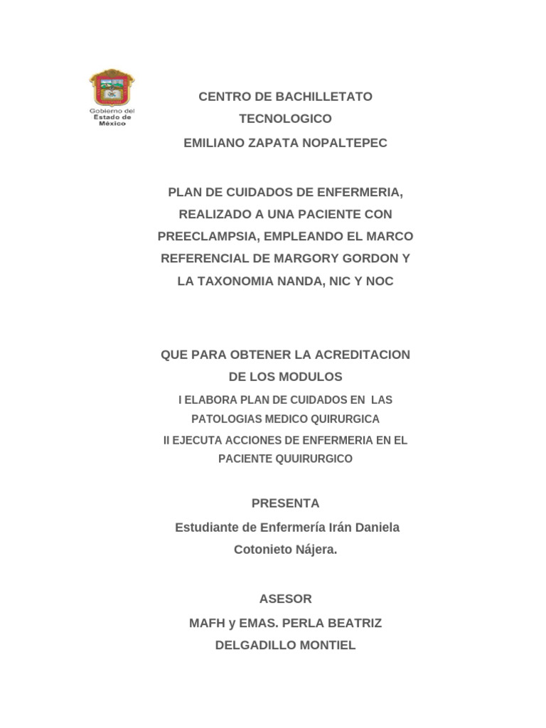 Plan De Cuidados En Preeclampsia Pdf Enfermería Especialidades