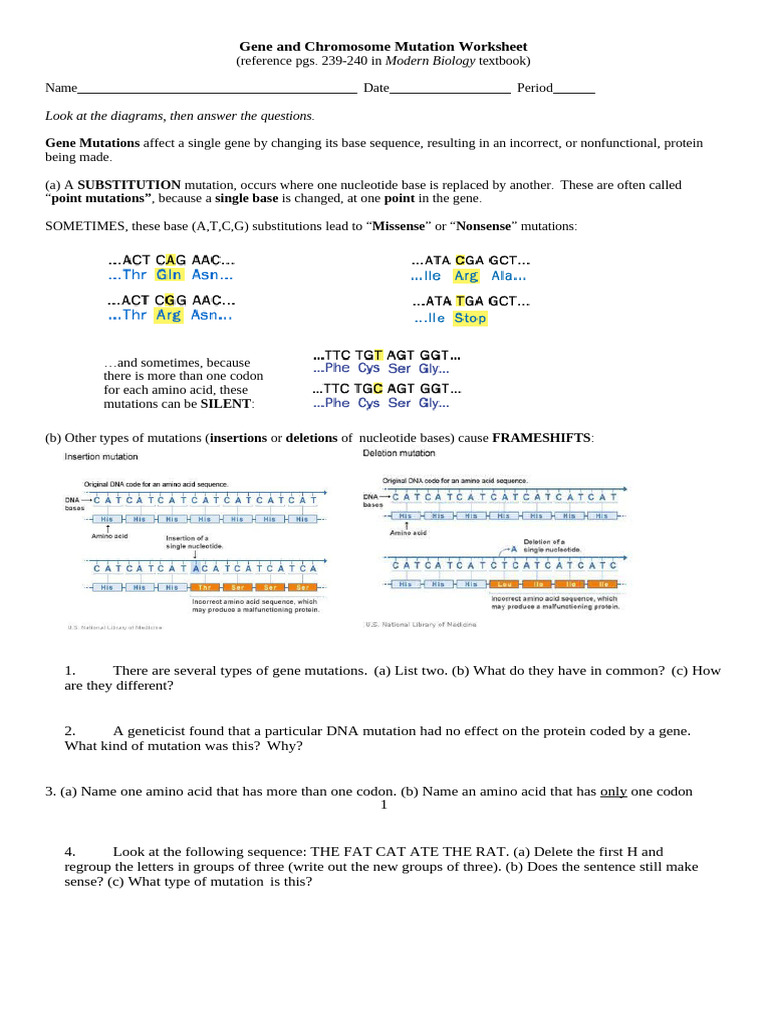 Gene and Chromosome Mutation Worksheet - High Level | PDF | Point Mutation | Nucleic Acid Sequence