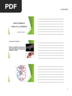 Circulação Colateral: Mecanismos, Importância Clínica e Implicações No ...