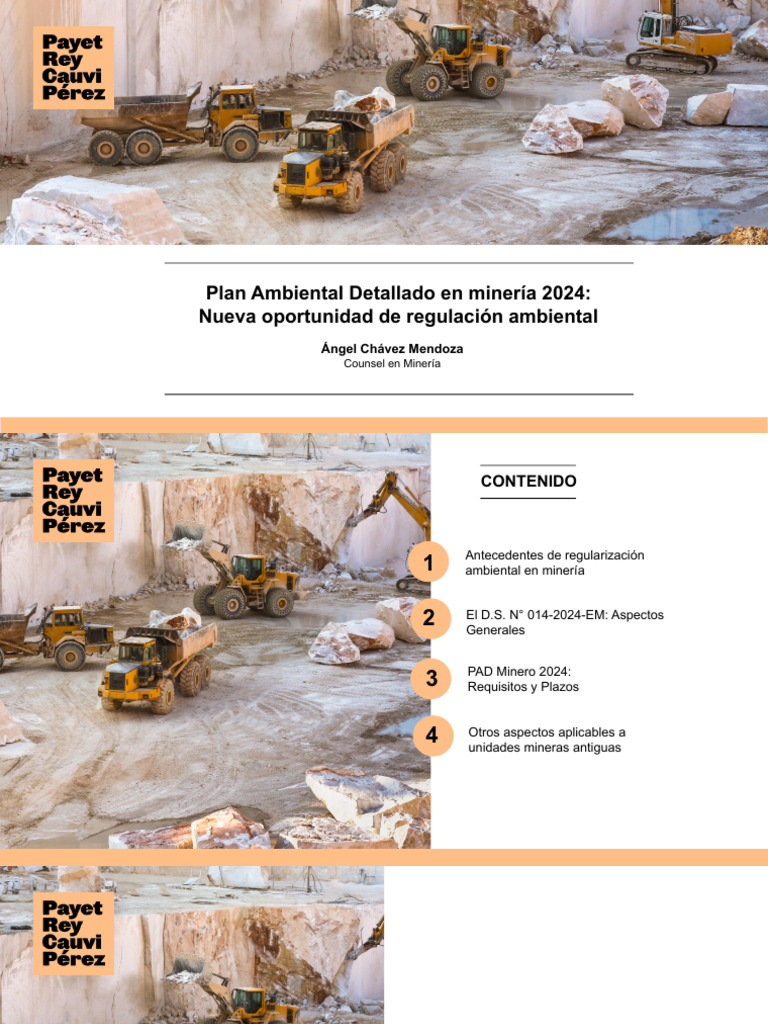 PAD Minero 2024: Requisitos y Plazos | PDF | Evaluación de impacto ...