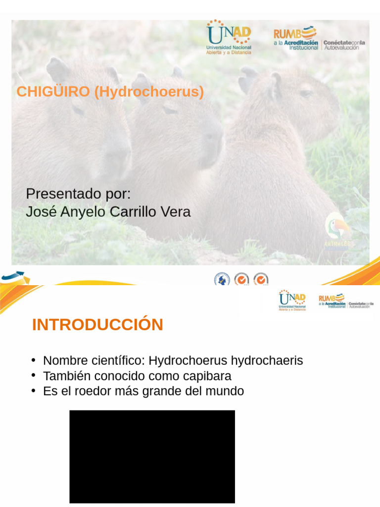 El Chigüiro: Importancia y Conservación | PDF