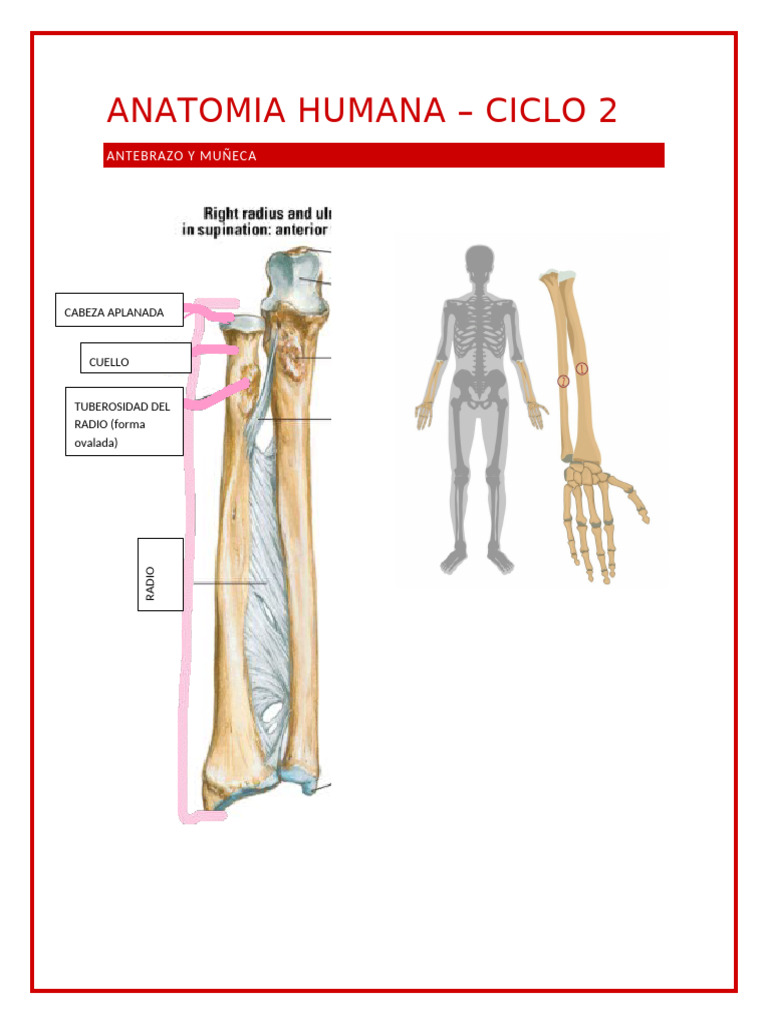 Resumen Clase 6 | PDF