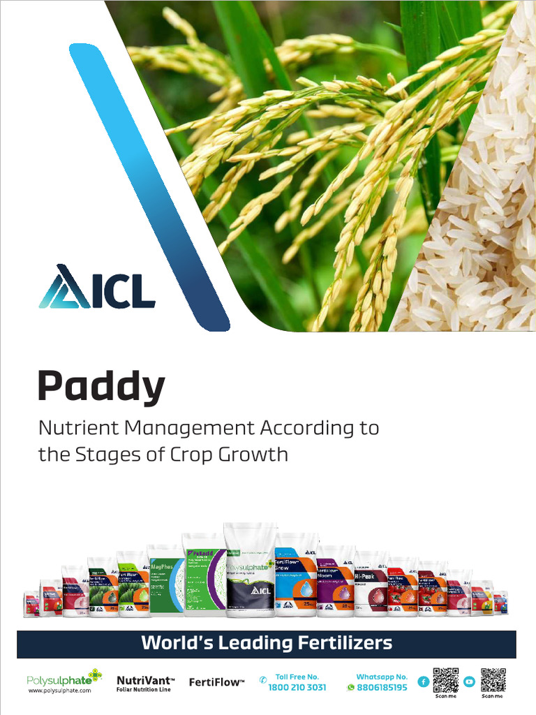 Paddy Crop Nutrient Management Guide | PDF