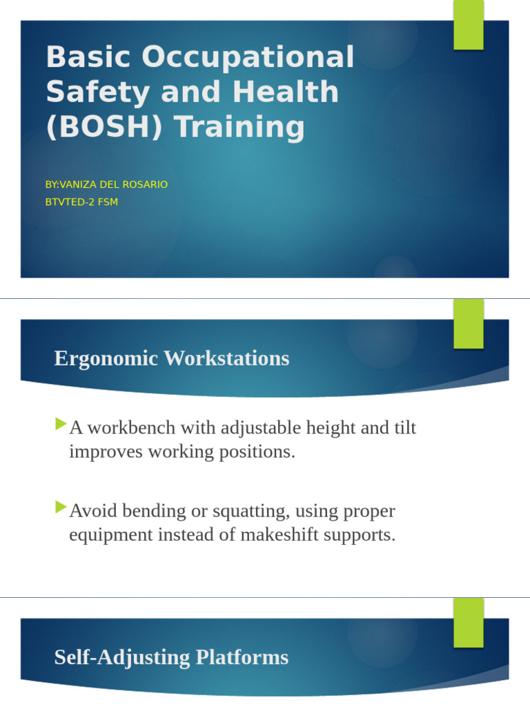 Vaniza Osh Report | PDF