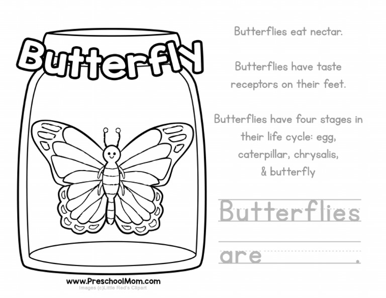 Color Butterfly | PDF