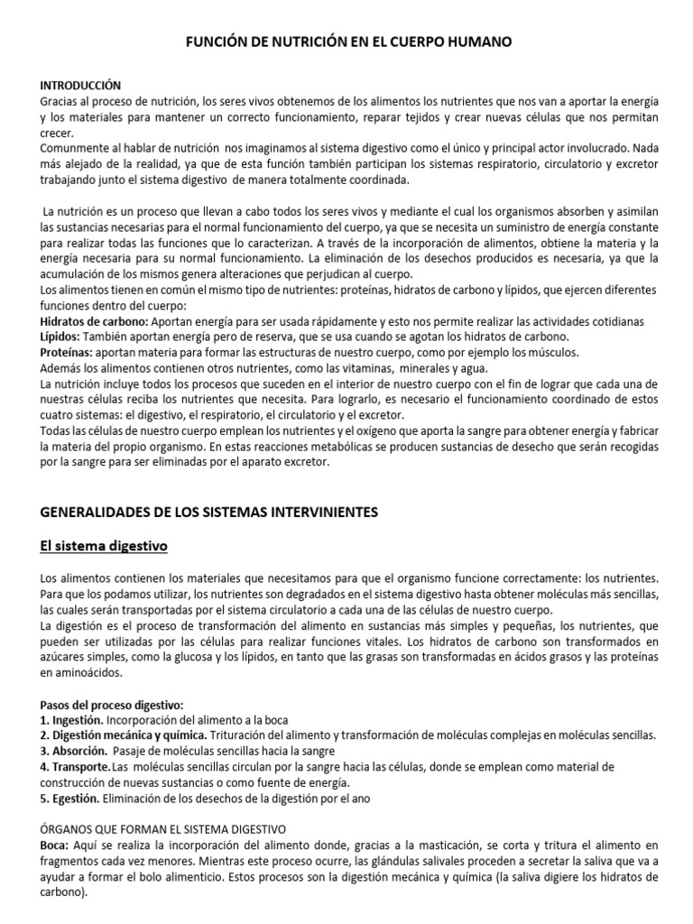 Función de Nutrición | PDF | Digestión | Pulmón