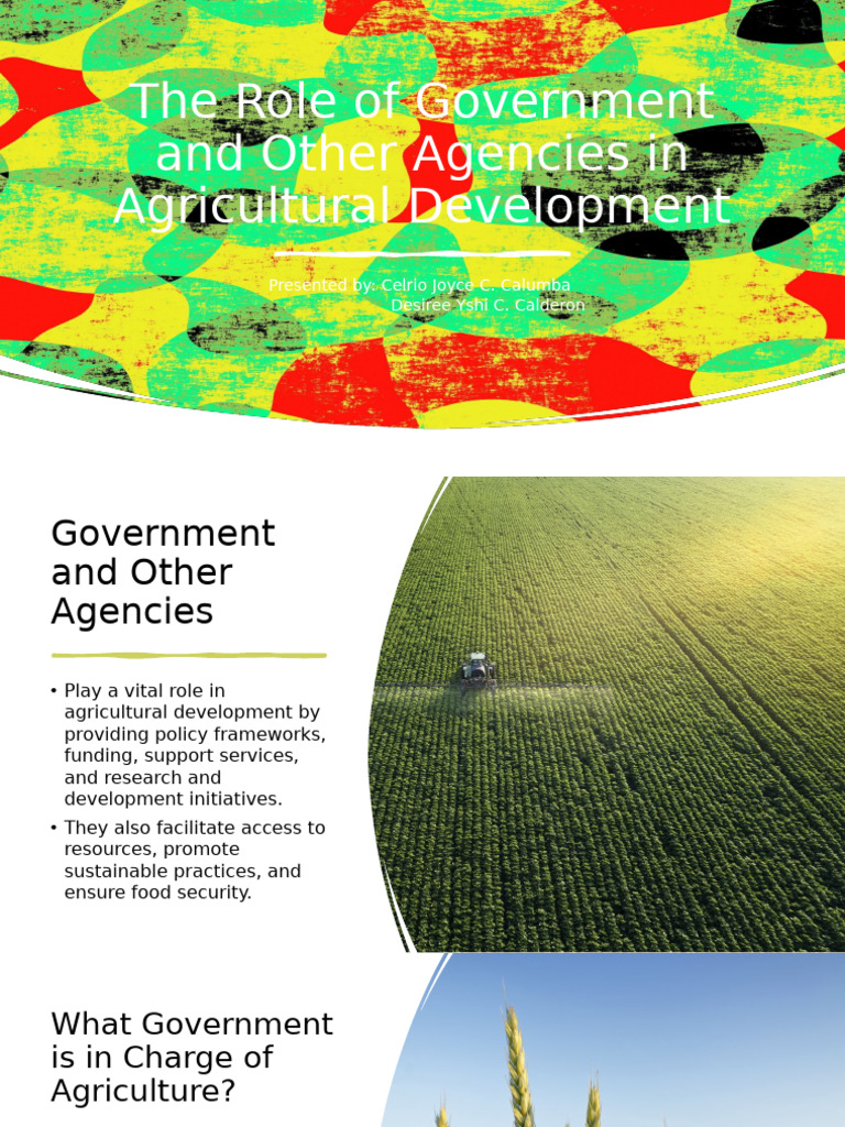 Government's Role in Agricultural Development | PDF | Food And ...