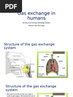 Characteristics of Gas Exchange Surfaces | PDF | Lung | Respiratory System