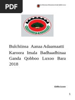 Karoora Leenjii Milishaa Bara 2017 | PDF