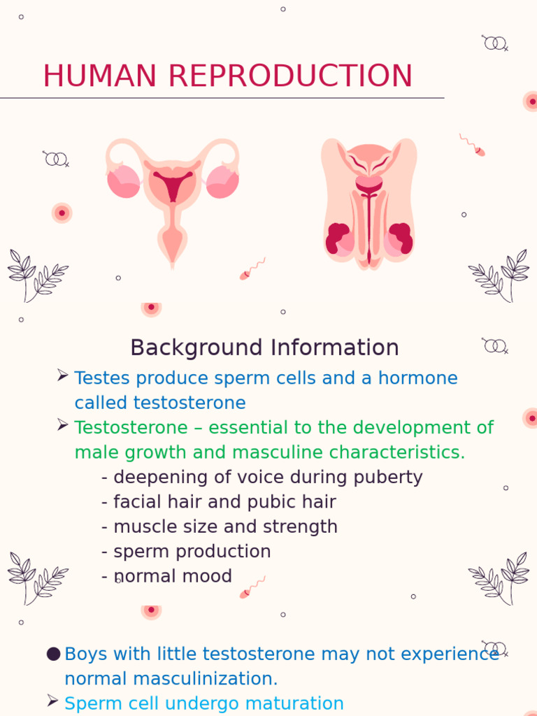 Unit 6 Human Reproductive System | PDF | Reproductive System ...