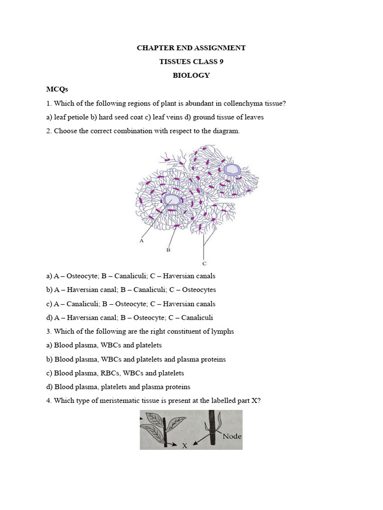 Class 9 Tissue Chapter End Assignment | PDF | Tissue (Biology) | Anatomy