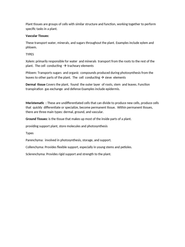 Overview of Plant Tissue Types | PDF