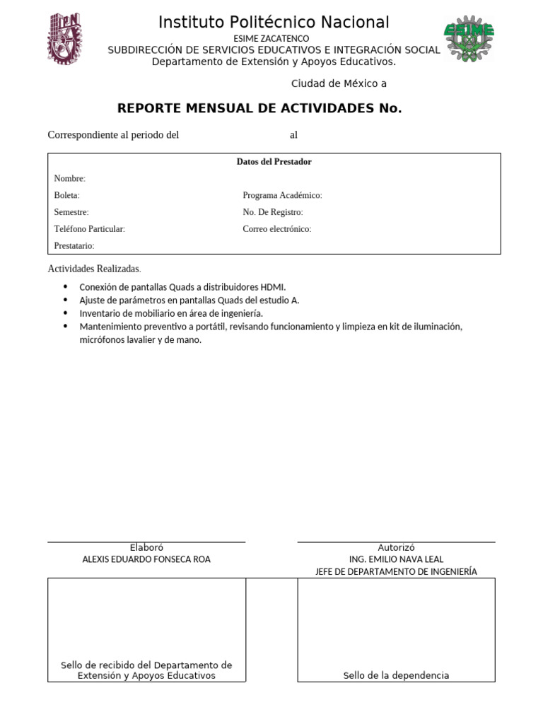 Reporte Mensual de Actividades 3# | PDF