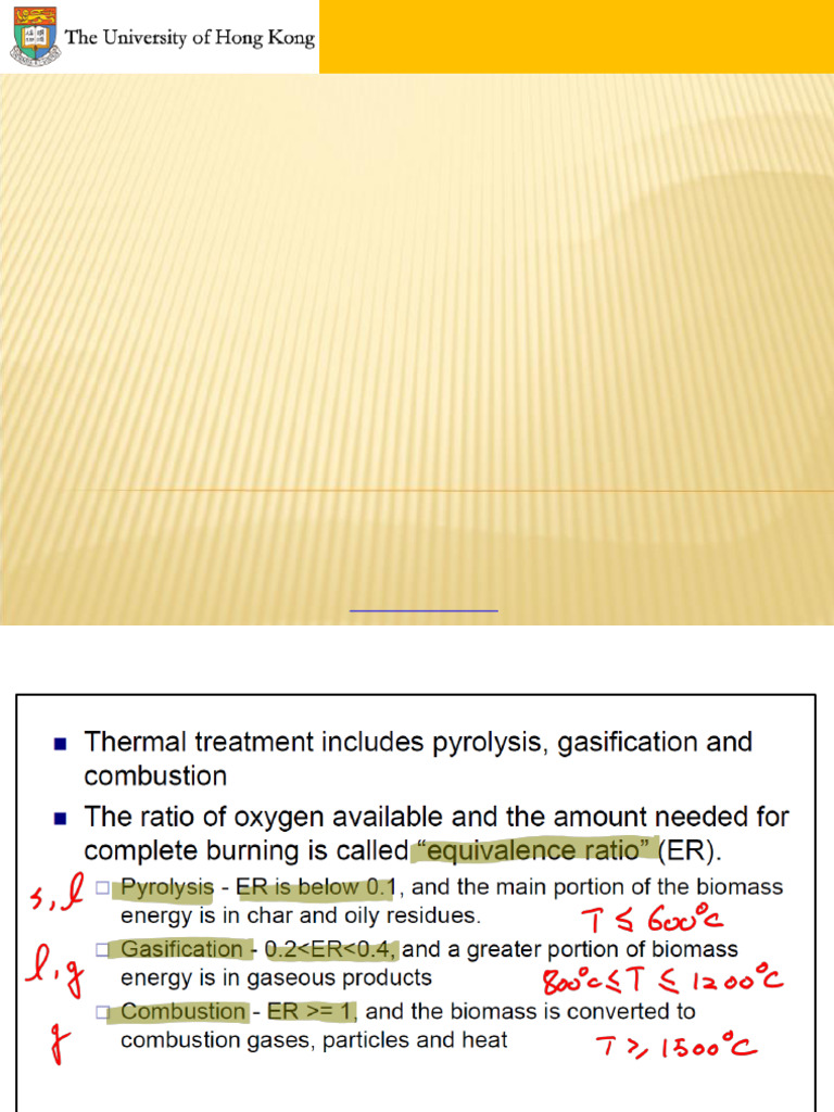 L5 Thermal Chemical Process T | PDF | Gasification | Pyrolysis