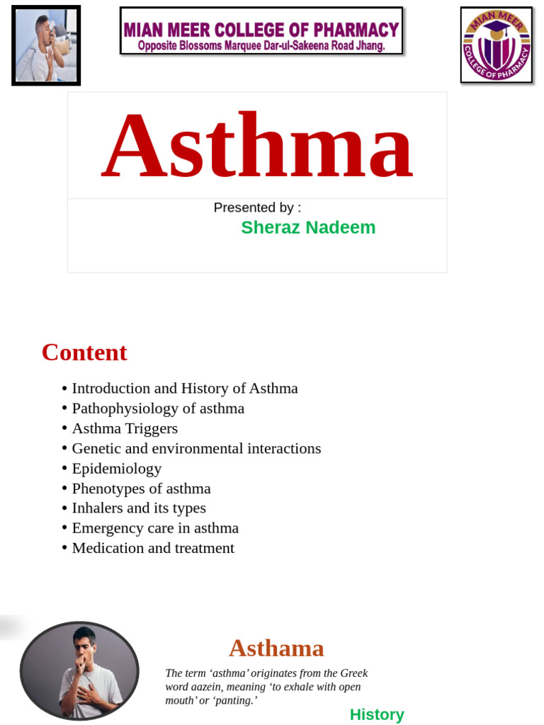 Asthama Presentation by Sheraz | PDF | Asthma | Allergy