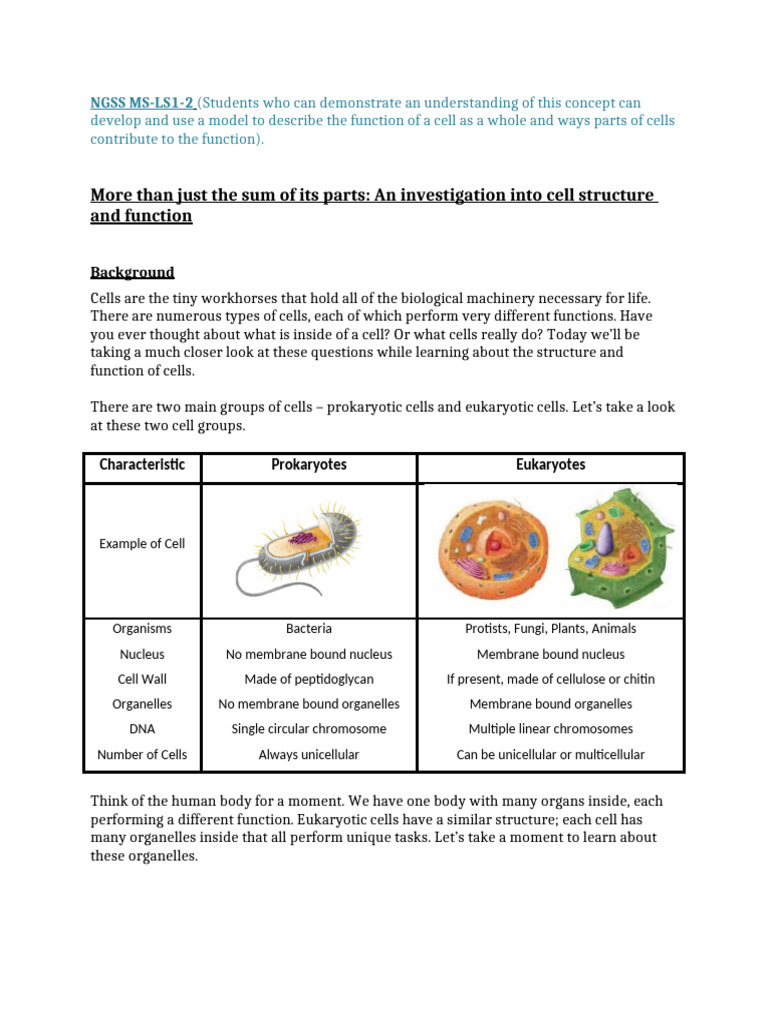NGSS Cell Function Instructor Version Ek | PDF | Cell (Biology) | Organelle