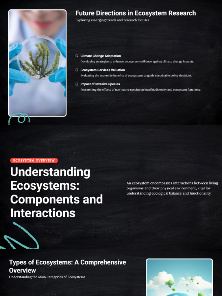 EVS Presentation | PDF