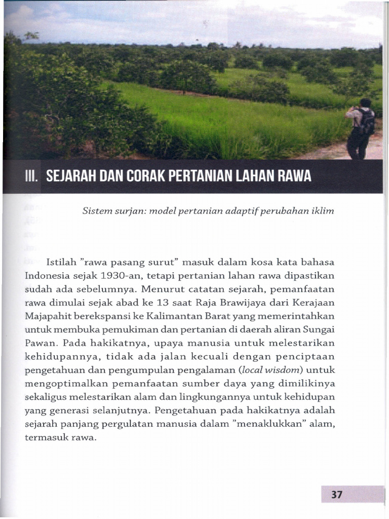 Pertanian Lahan Rawa dan Adaptasi Iklim | PDF