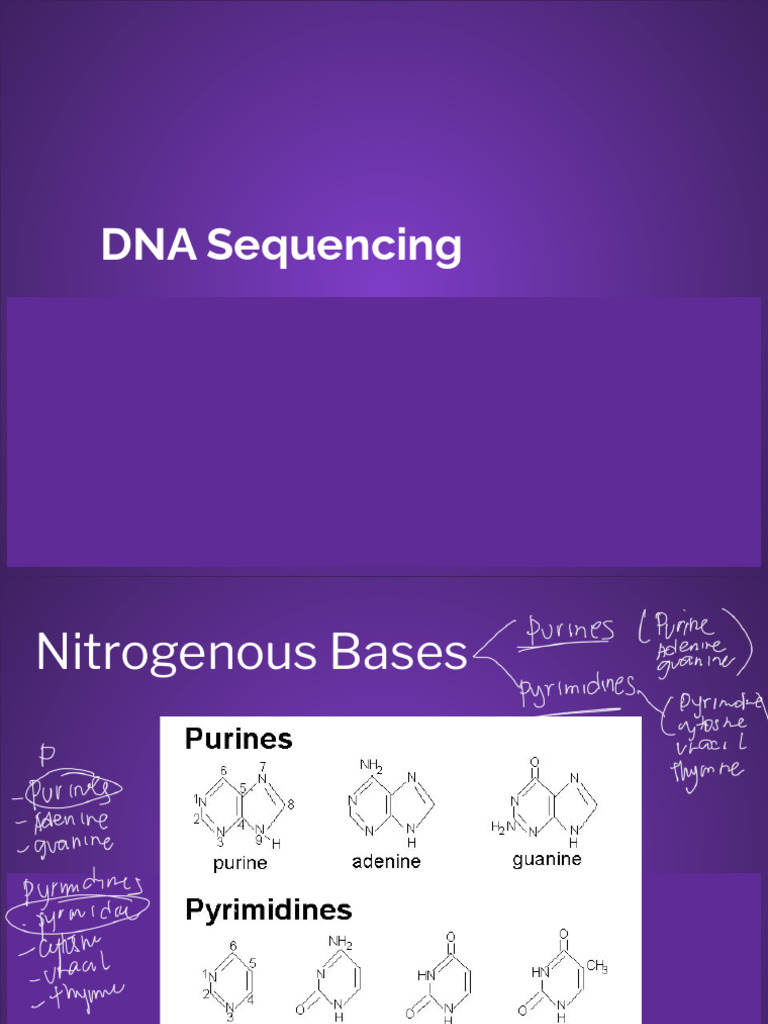 DNA Sequencing Methods Overview | PDF | Dna Sequencing | Nucleotides