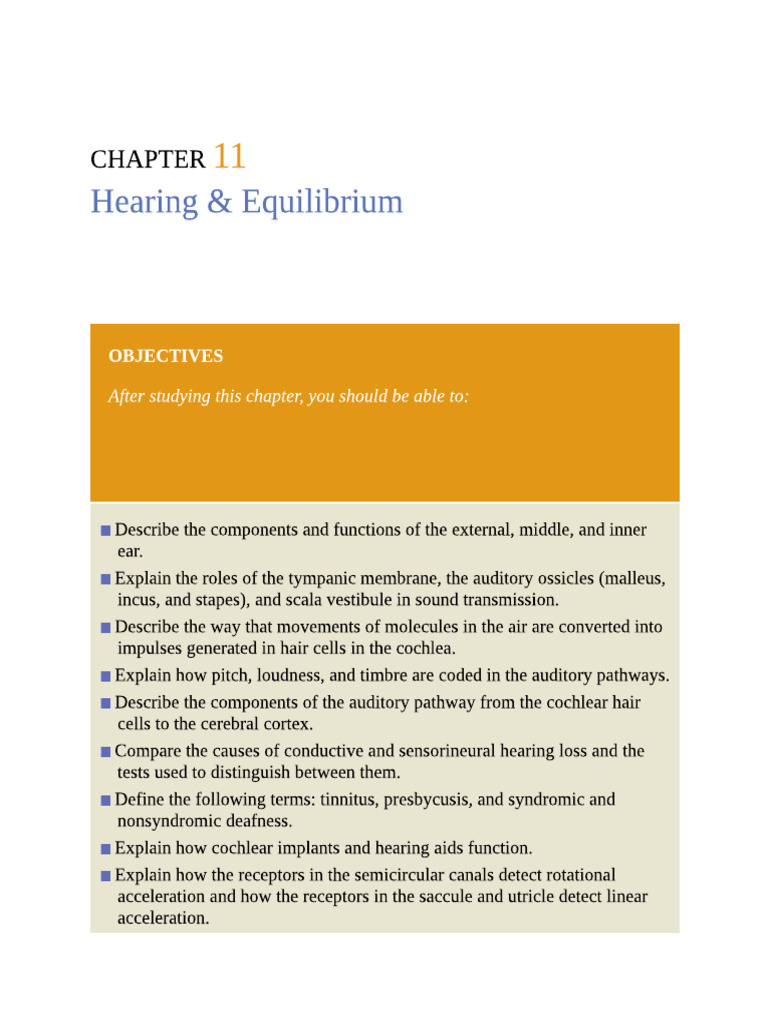 Hearing and Equilibrium | PDF