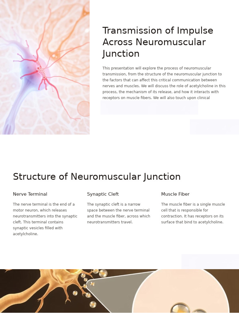 Transmission of Impulse Across Neuromuscular Junction | PDF ...