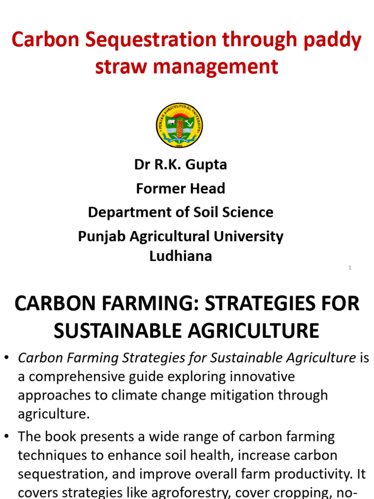 Carbon Sequestration Through Paddy Straw Management | PDF | Fertilizer ...