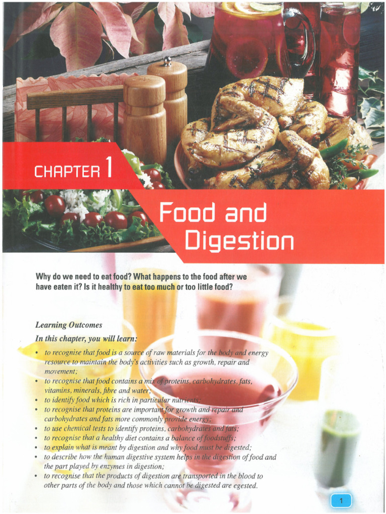 International Lower Secondary Science 3 2 | PDF