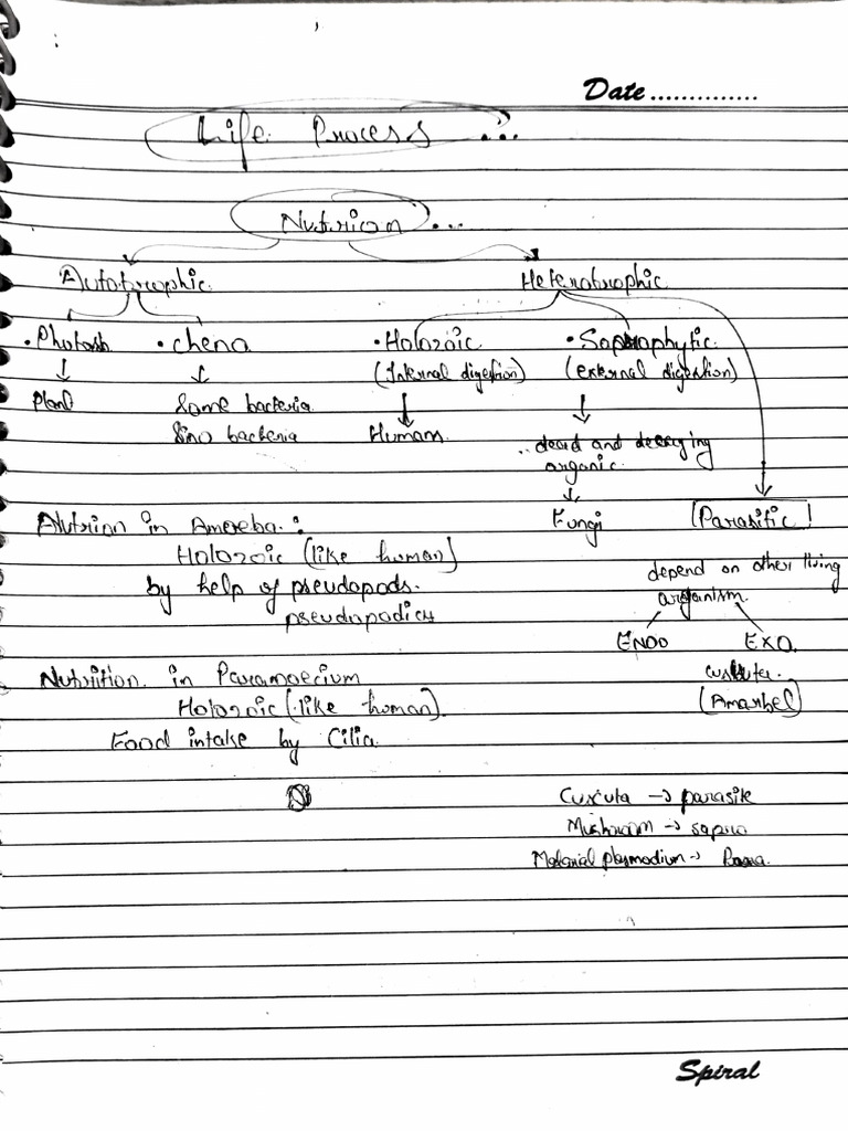 NDA Notes Bio | PDF