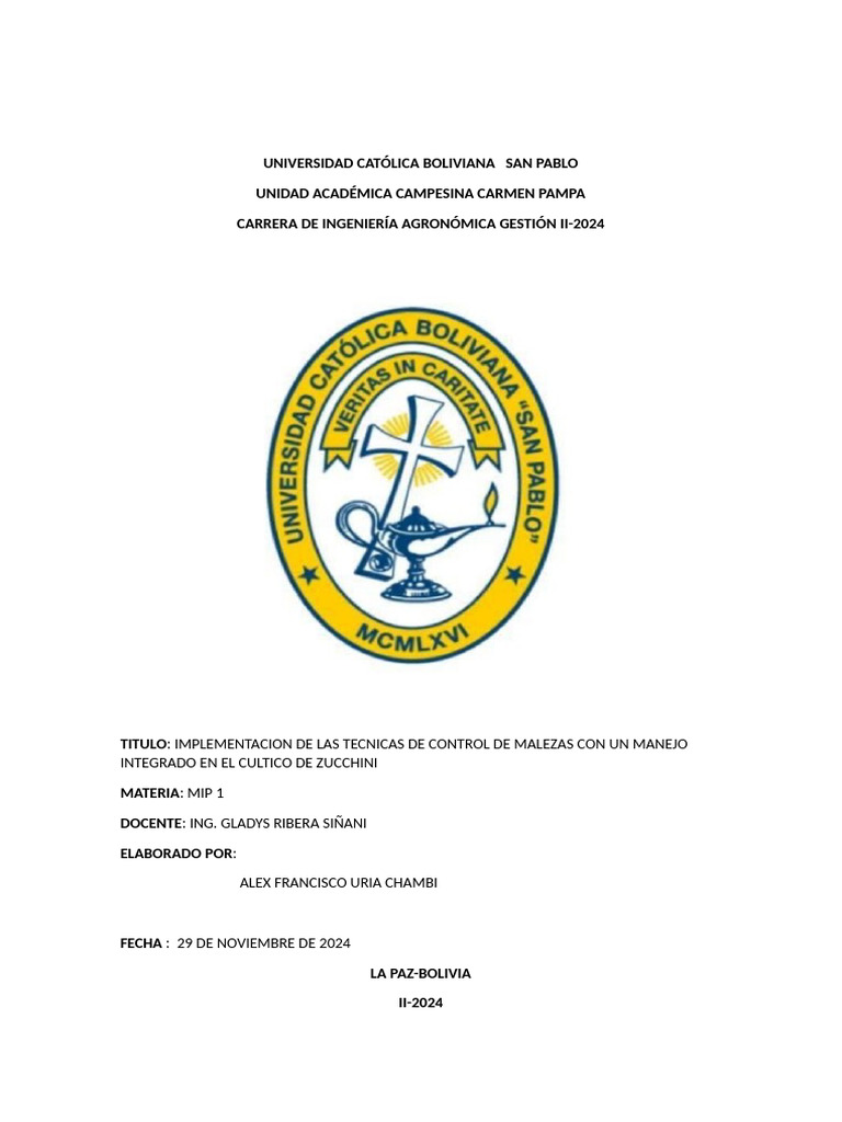 caratula mip informe final | PDF