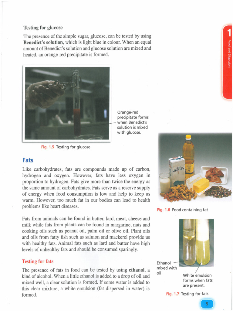 International Lower Secondary Science 3 6 | PDF