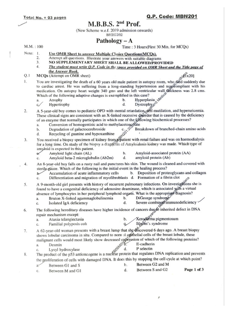 Prof2 2019 Question Paper - 250806 - 152119 | PDF
