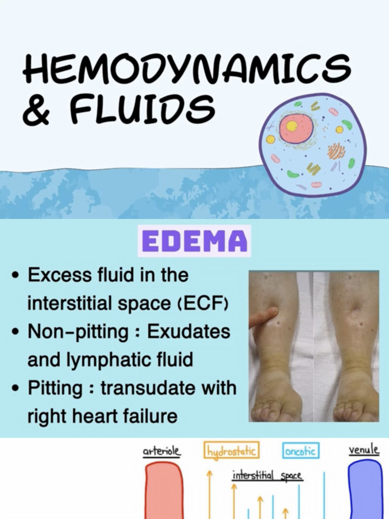 Goljan Hemodynamics | PDF