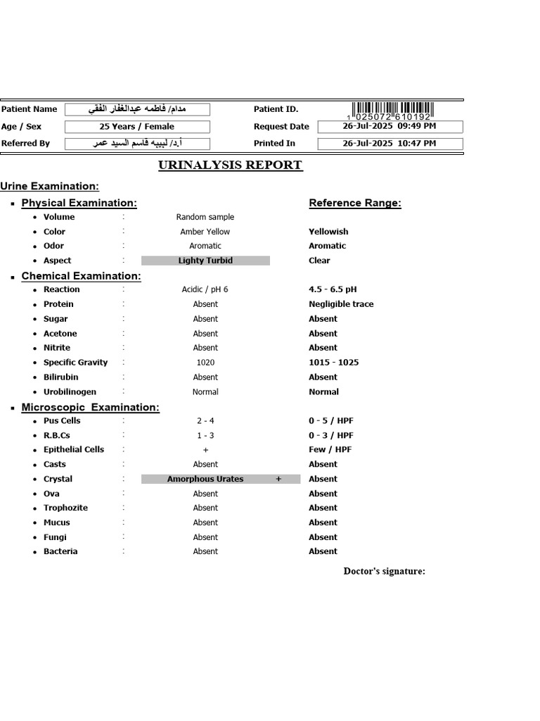 Normal Urine Examination Report | PDF