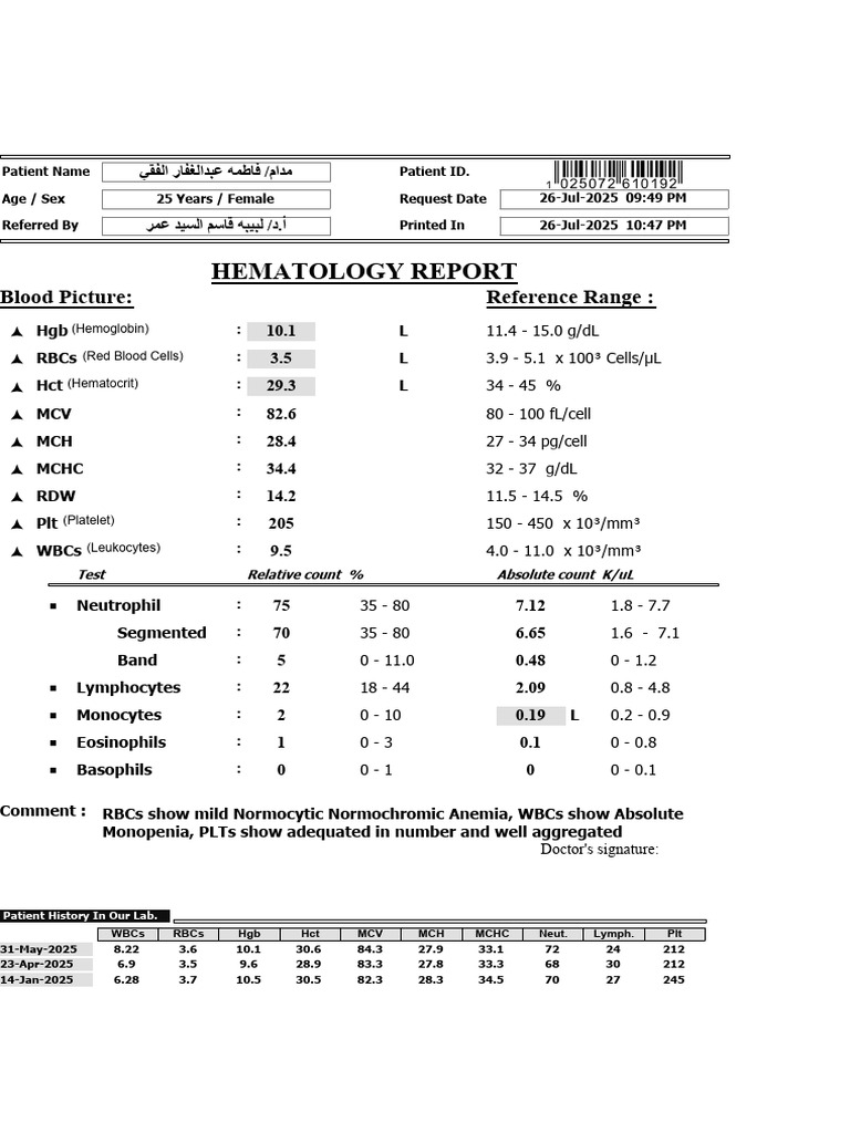 Normocytic Anemia with Leucocytosis Report | PDF | White Blood Cell ...