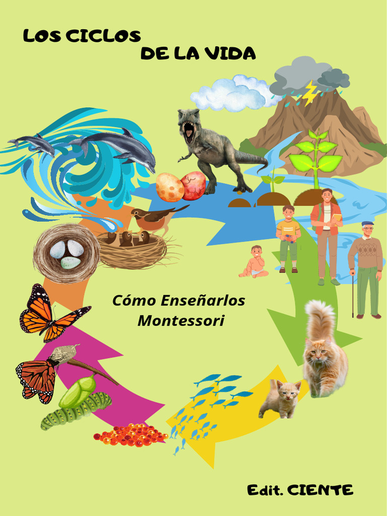 Los Ciclos de La Vida | PDF | Lepidópteros | Mariposa