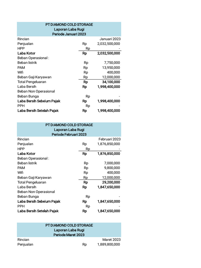 Laporan Laba Rugi PT Diamond 2023 | PDF