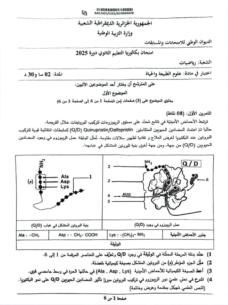 Bac Math Science 2025 | PDF