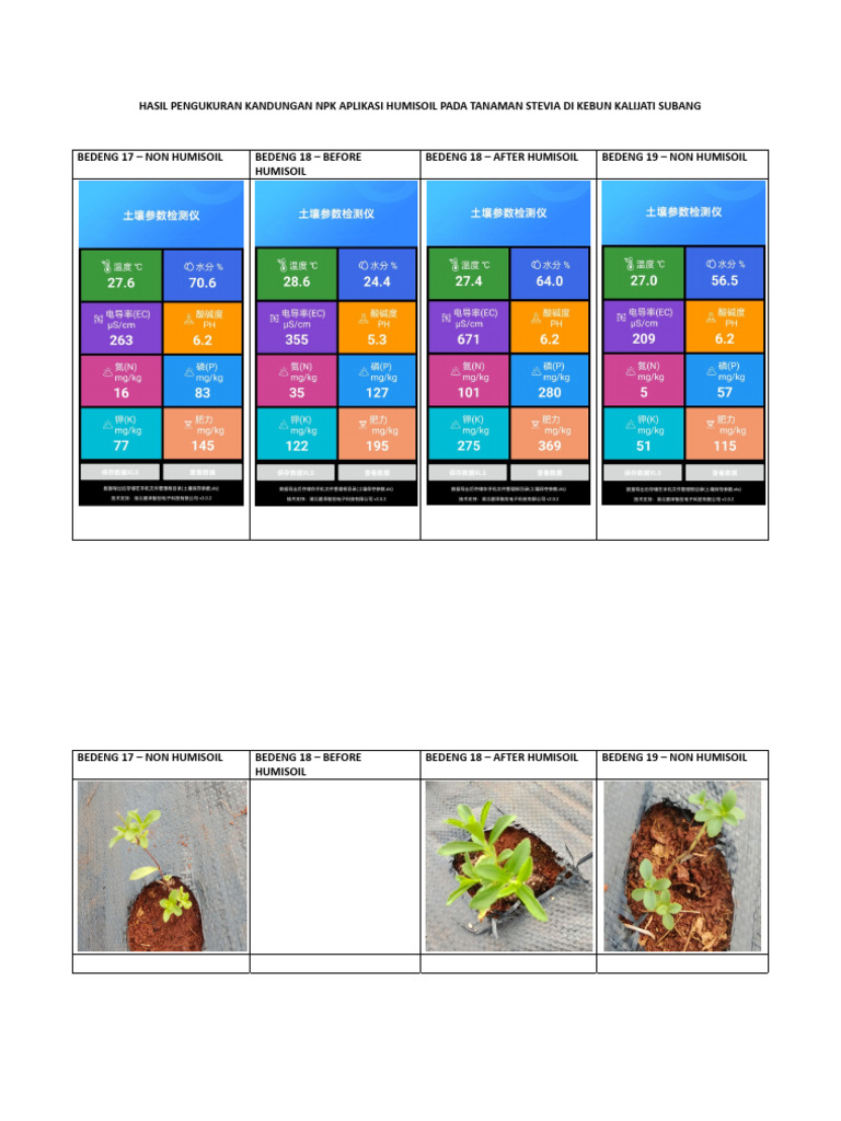 TAP - Demplot Aplikasi Humisol Dan Test Soil | PDF