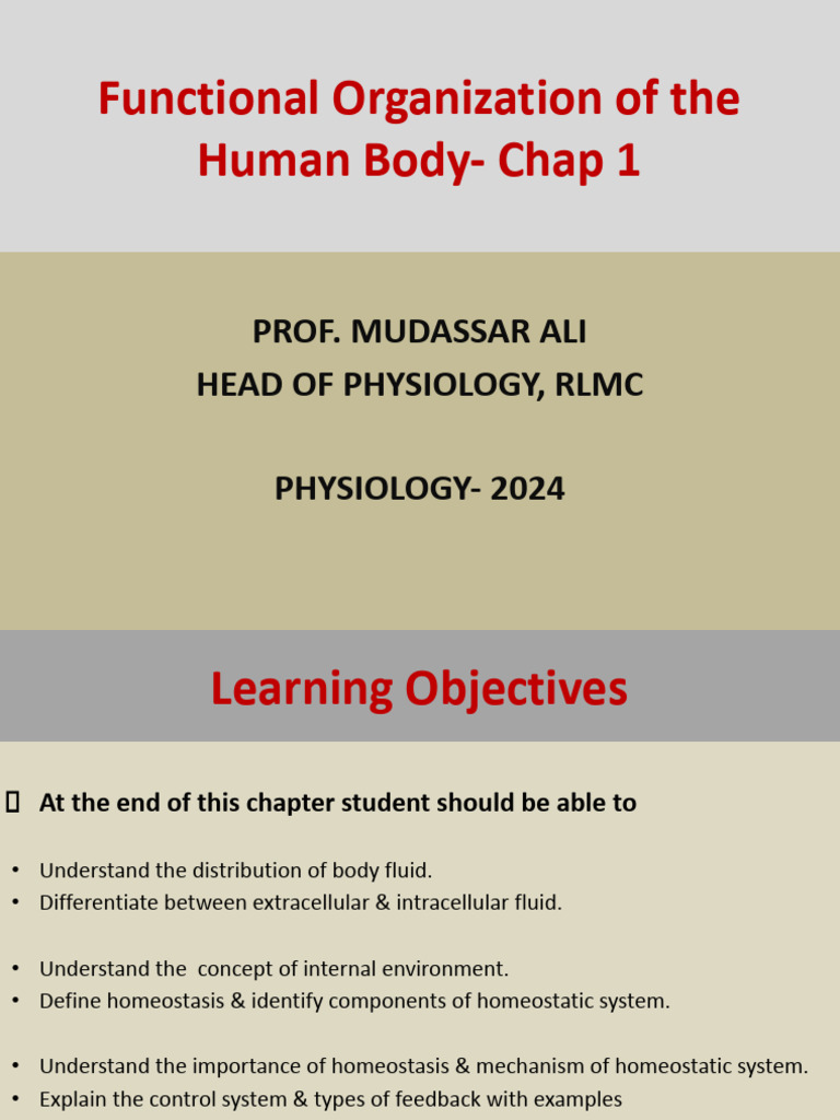 Human Body Fluid Organization & Homeostasis | PDF | Homeostasis | Human ...