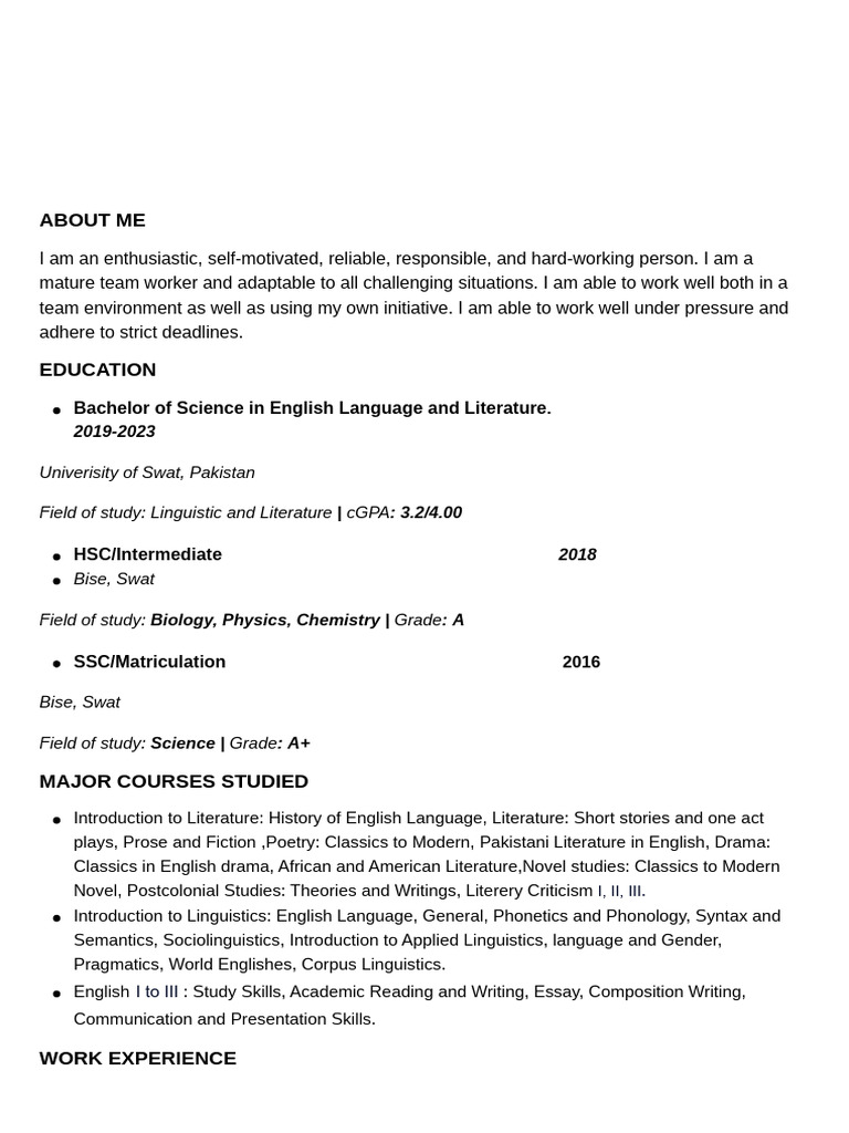 Kamran's Cv..docx - 20250805 - 185210 - 0000 | PDF | Linguistics | International English ...