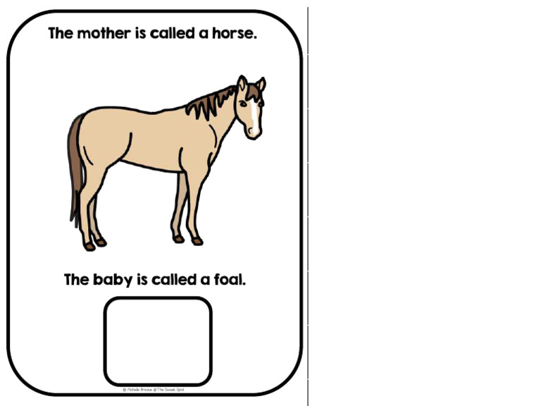 Interactive Book-Farm Animals Mothers Babies-2 | PDF