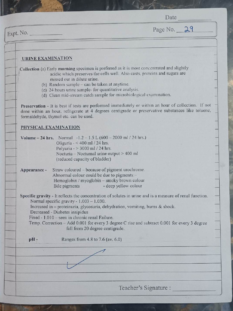 Urine Examination Path Practical | PDF