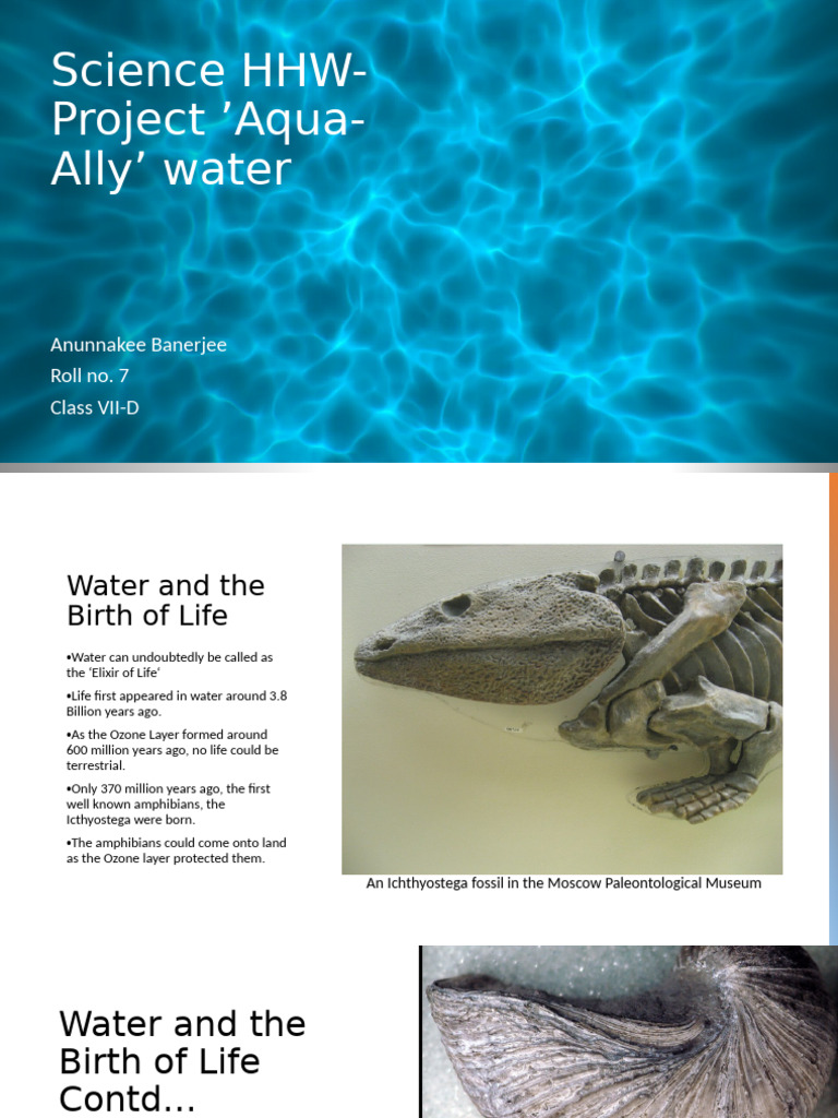 Water's Role in Life and Conservation | PDF | Earth Sciences